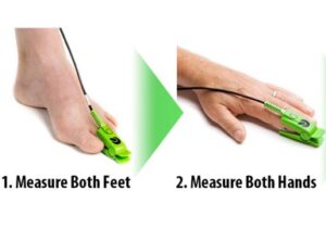Advanced Cardiovascular Screening Package